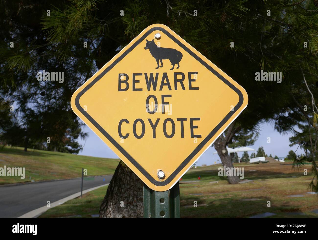 Beware of coyote sign hi-res stock photography and images - Alamy