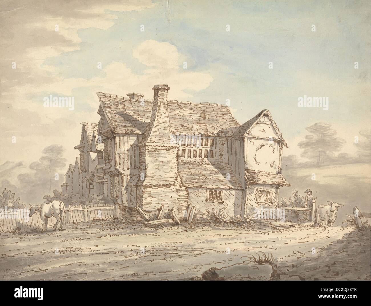 Cow wash farm hi-res stock photography and images - Alamy