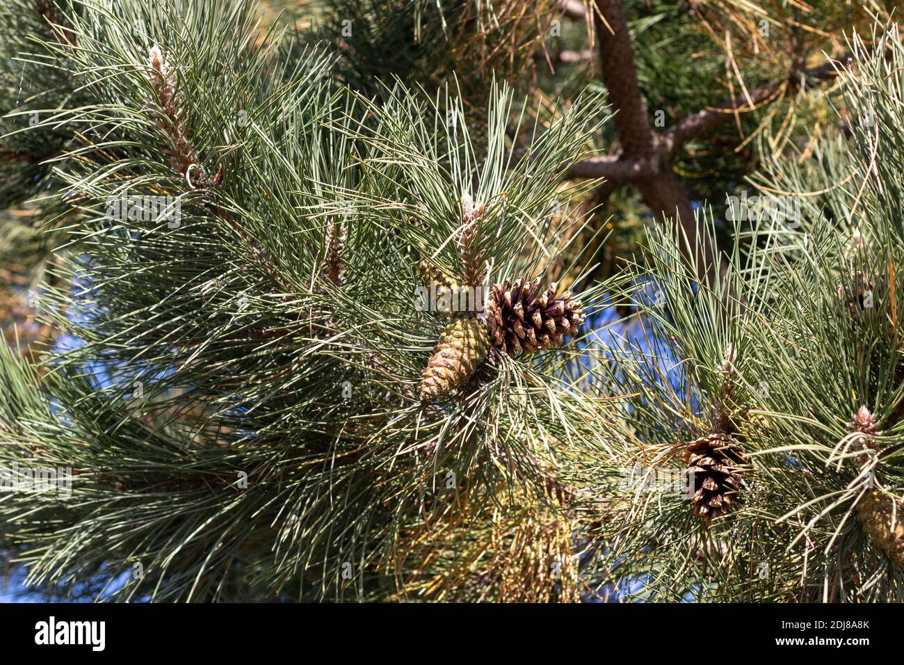 Side angle photo hi-res stock photography and images - Alamy