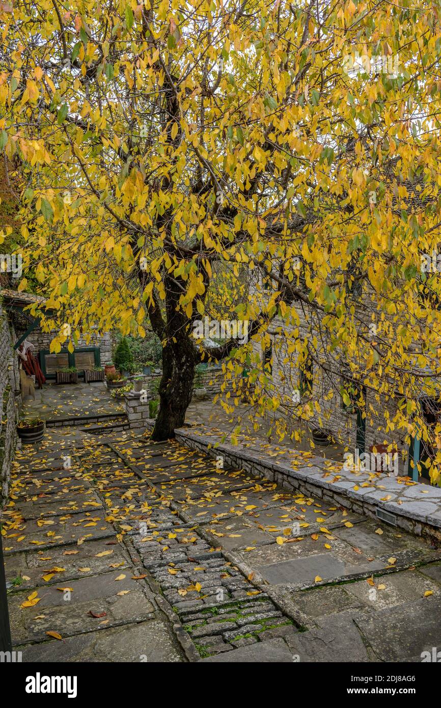 The picturesque village of Dilofo during fall season with its ...