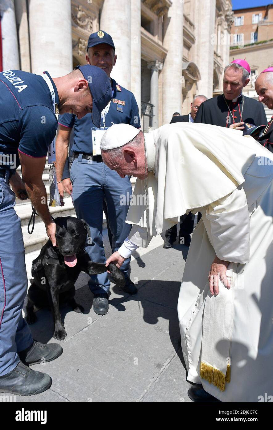 Pope Francis played with a dog as he marked the Jubilee of Volunteer ...
