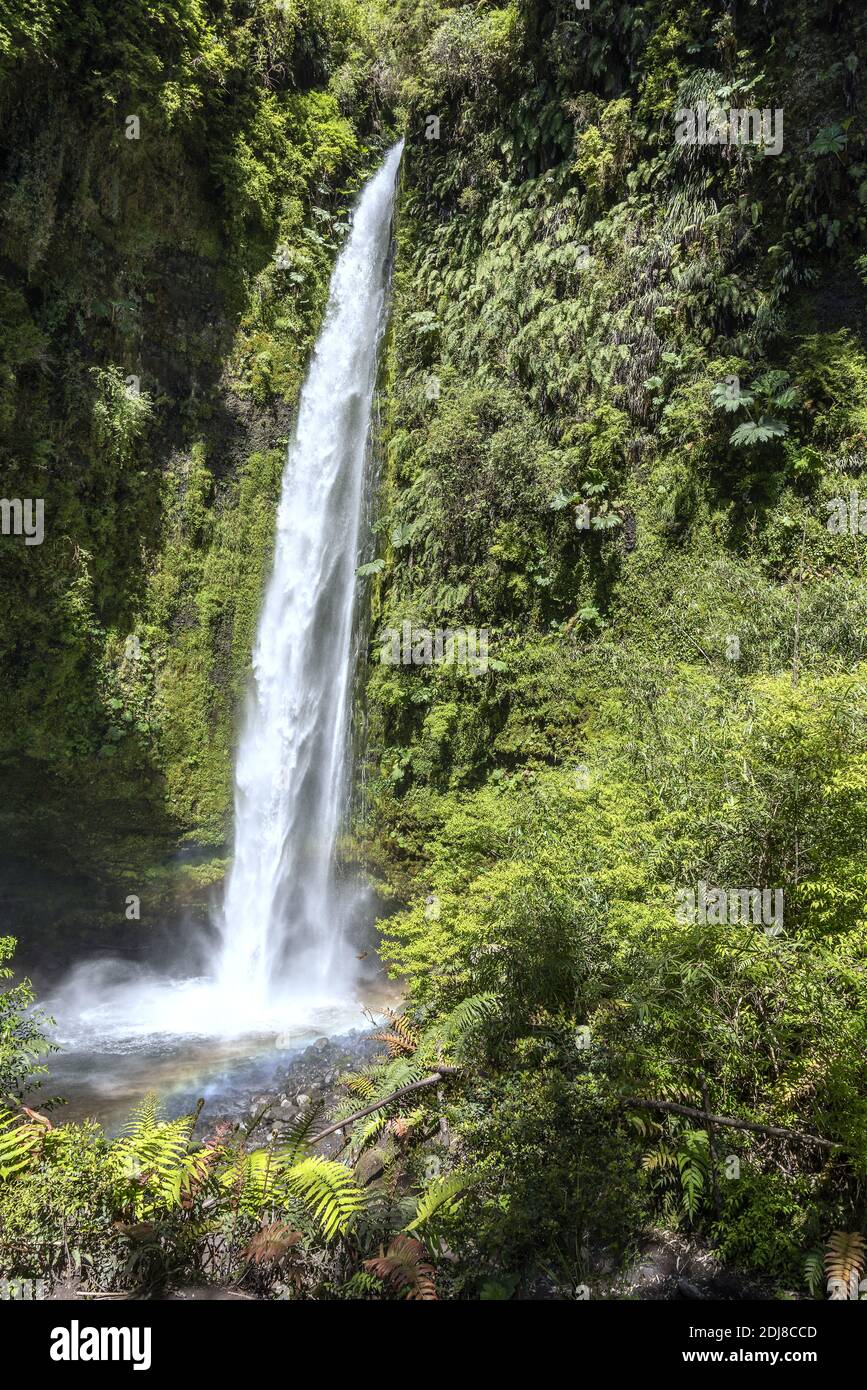 A vertical long exposure shot of a thin waterfall with a beautiful ...
