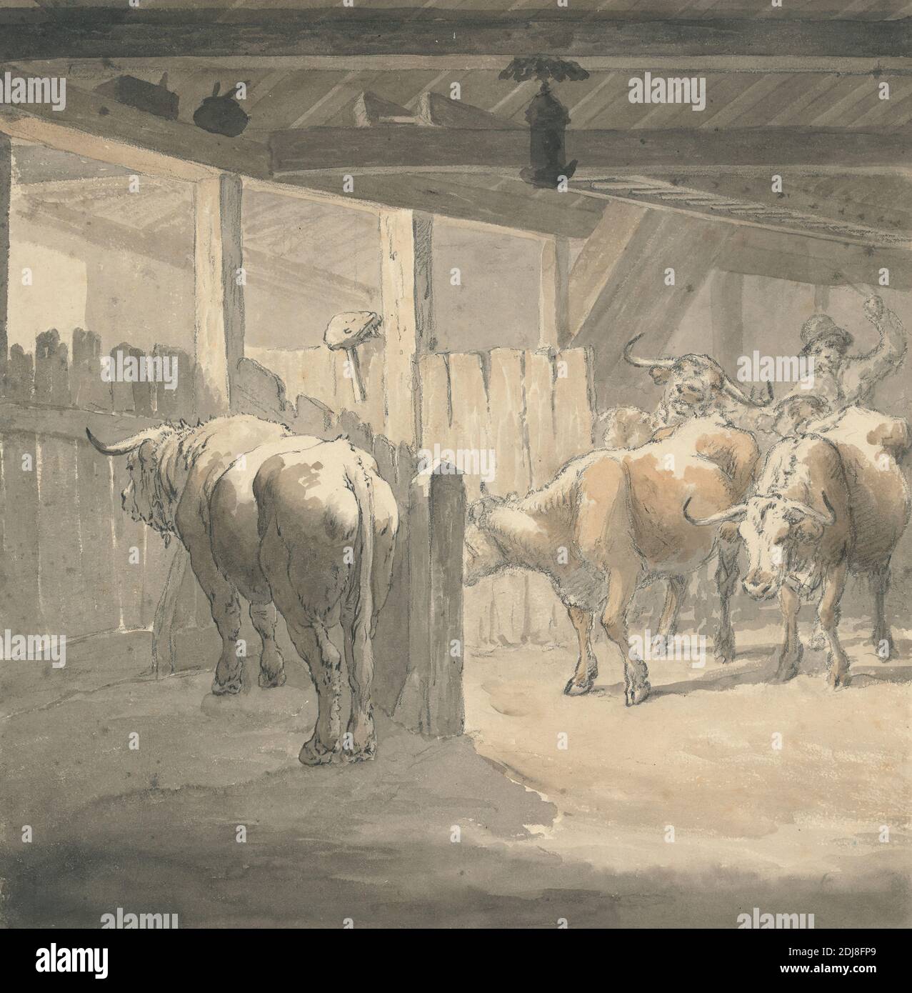 White cattle with horns hi-res stock photography and images - Alamy