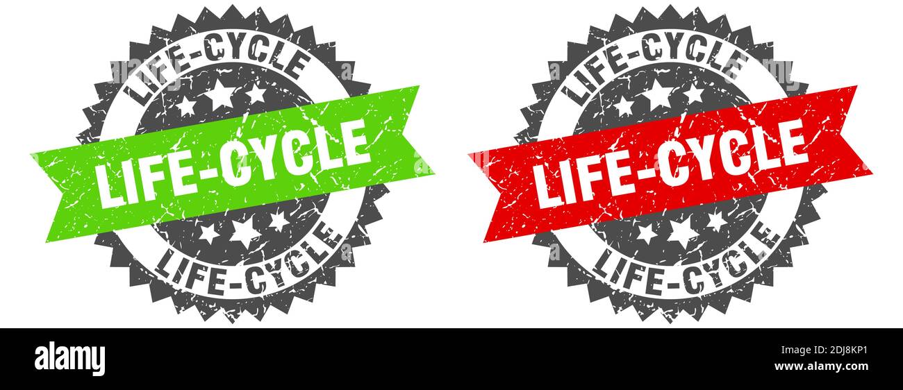 life-cycle grunge stamp set. life-cycle band sign Stock Vector Image ...