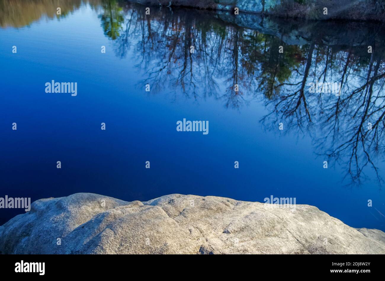 Reflection of Cleveland Pond, Ames Nowell State Park, Abington ...