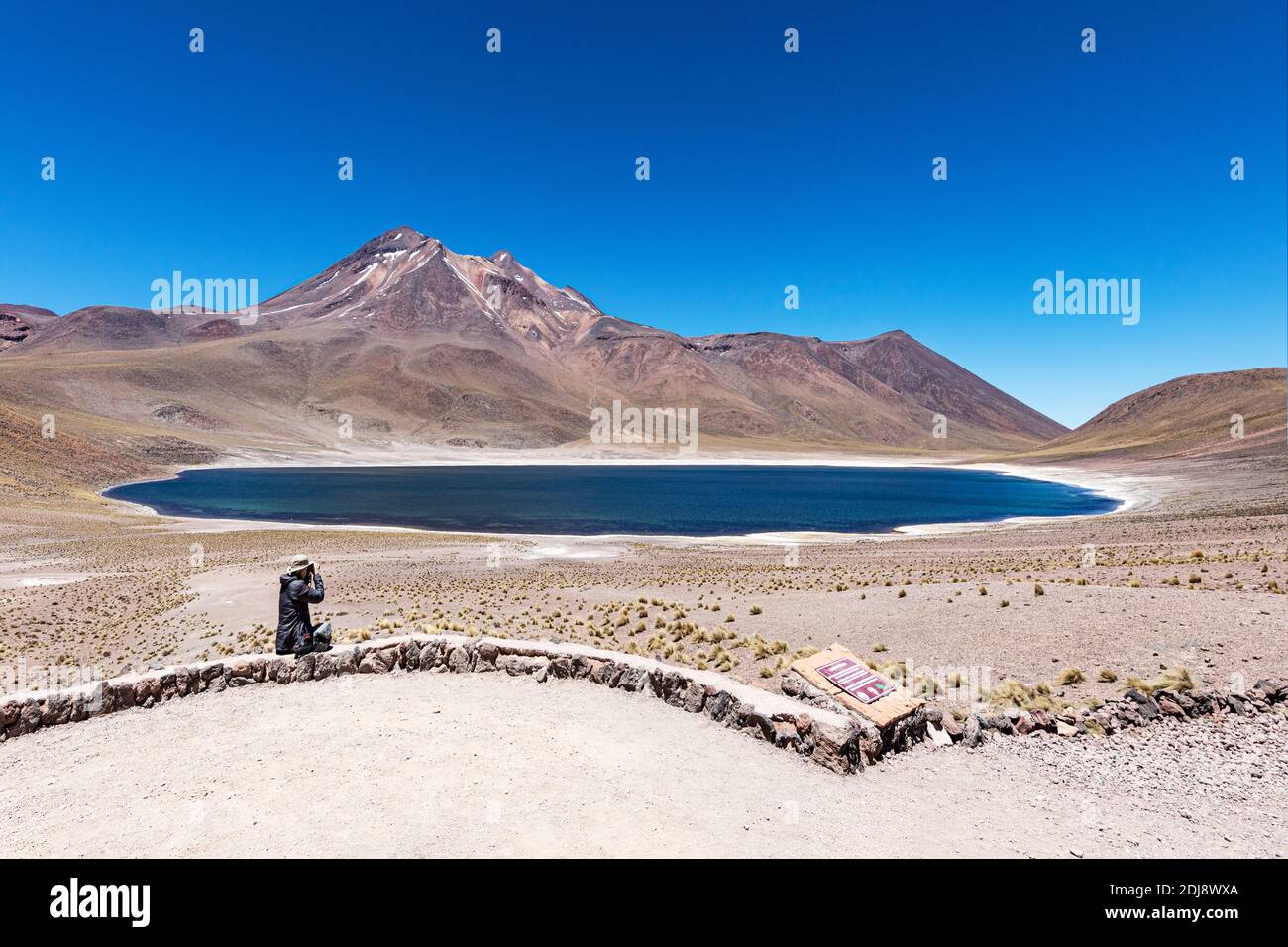 Laguna Miñiques, a brackish lake at an altitude of 4,120 meters in the ...