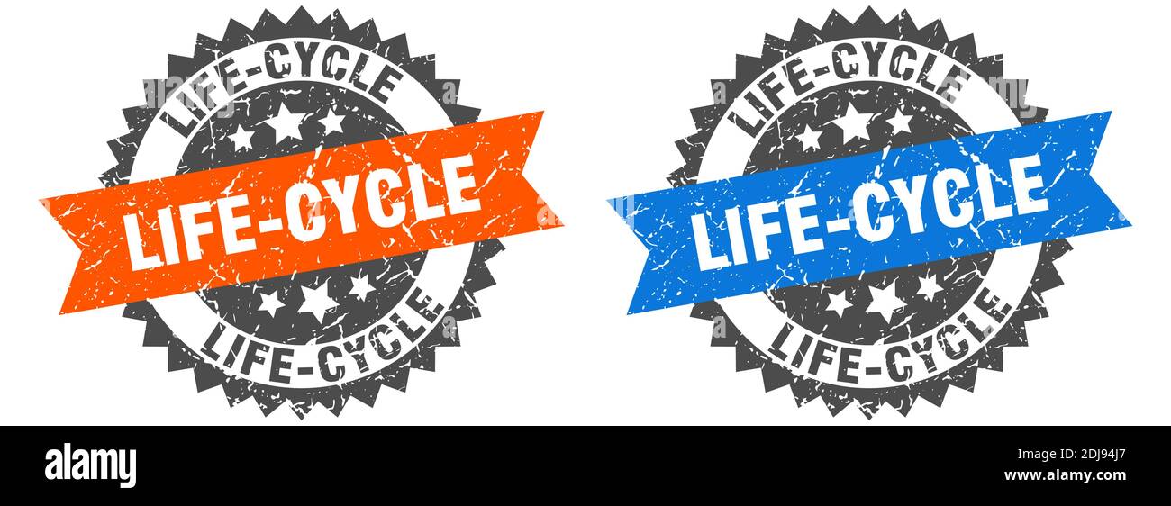 life-cycle grunge stamp set. life-cycle band sign Stock Vector Image ...