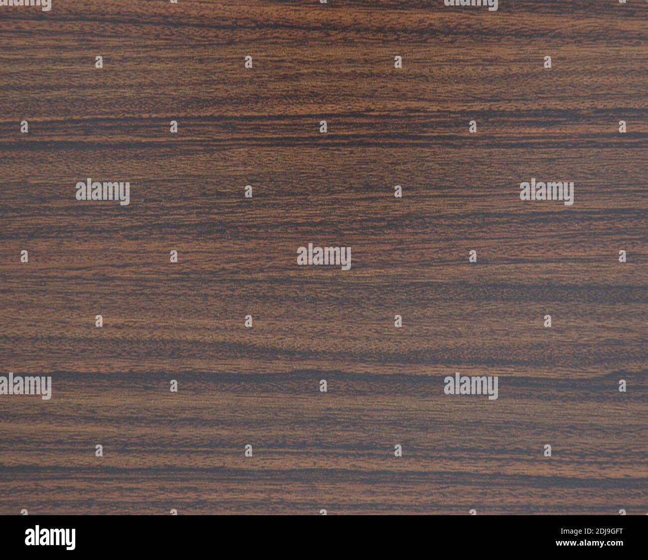 Dark walnut, natural wood grain with hacky black veins, close-up flat ...