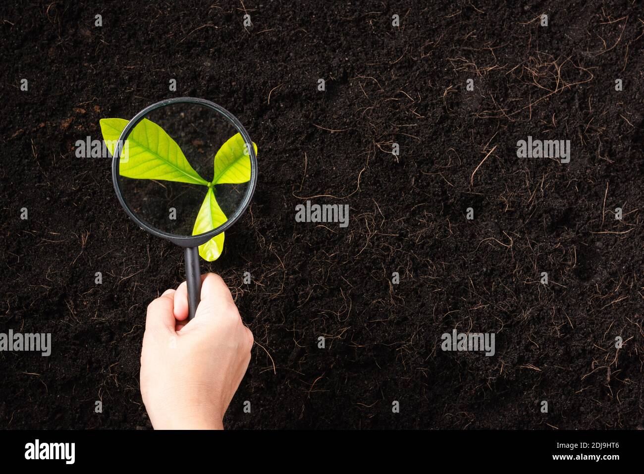 Hand of researcher woman holding a magnifying glass on black soil at ...