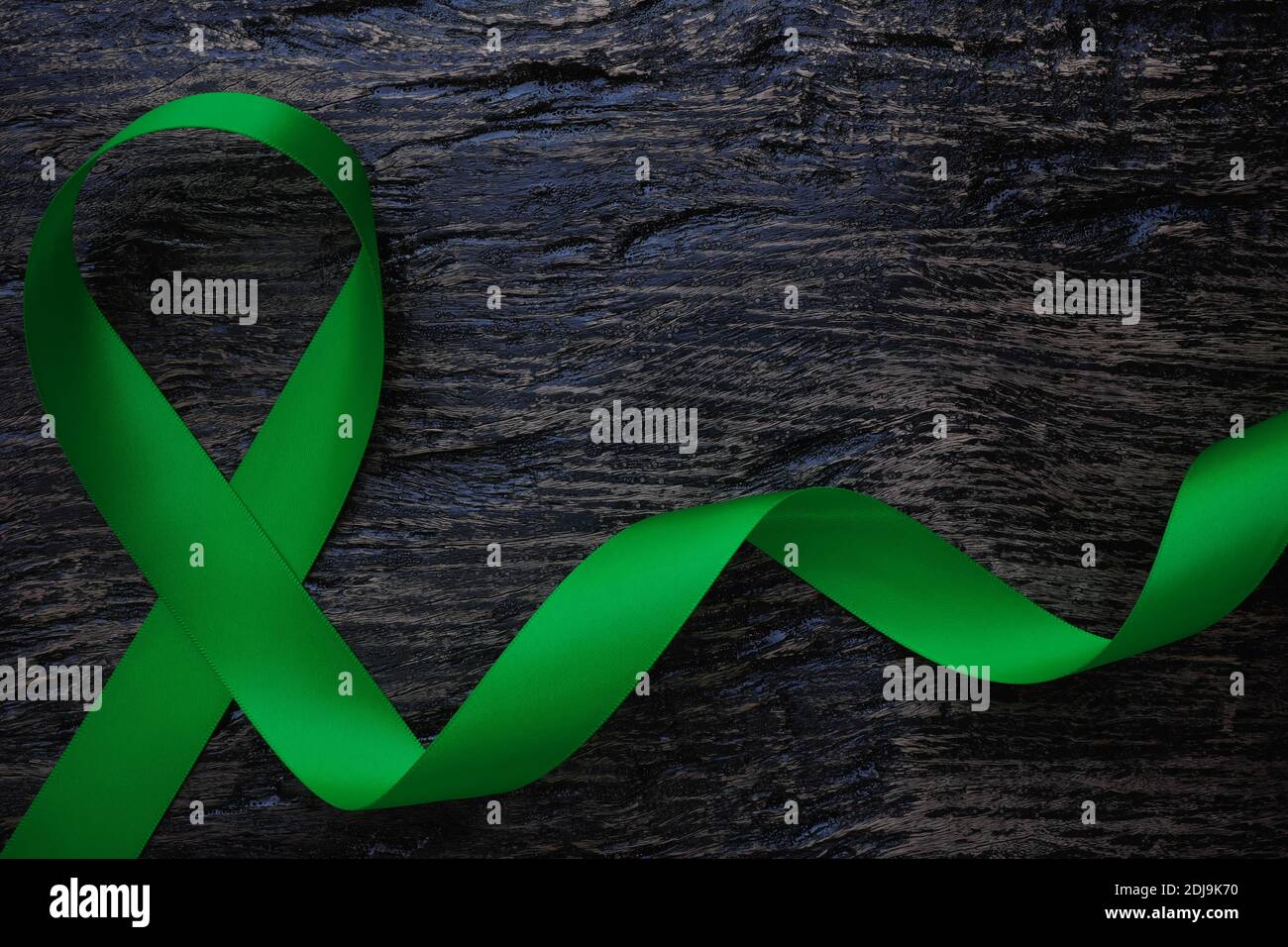 Top view of green color ribbon on dark background. Gall bladder and ...