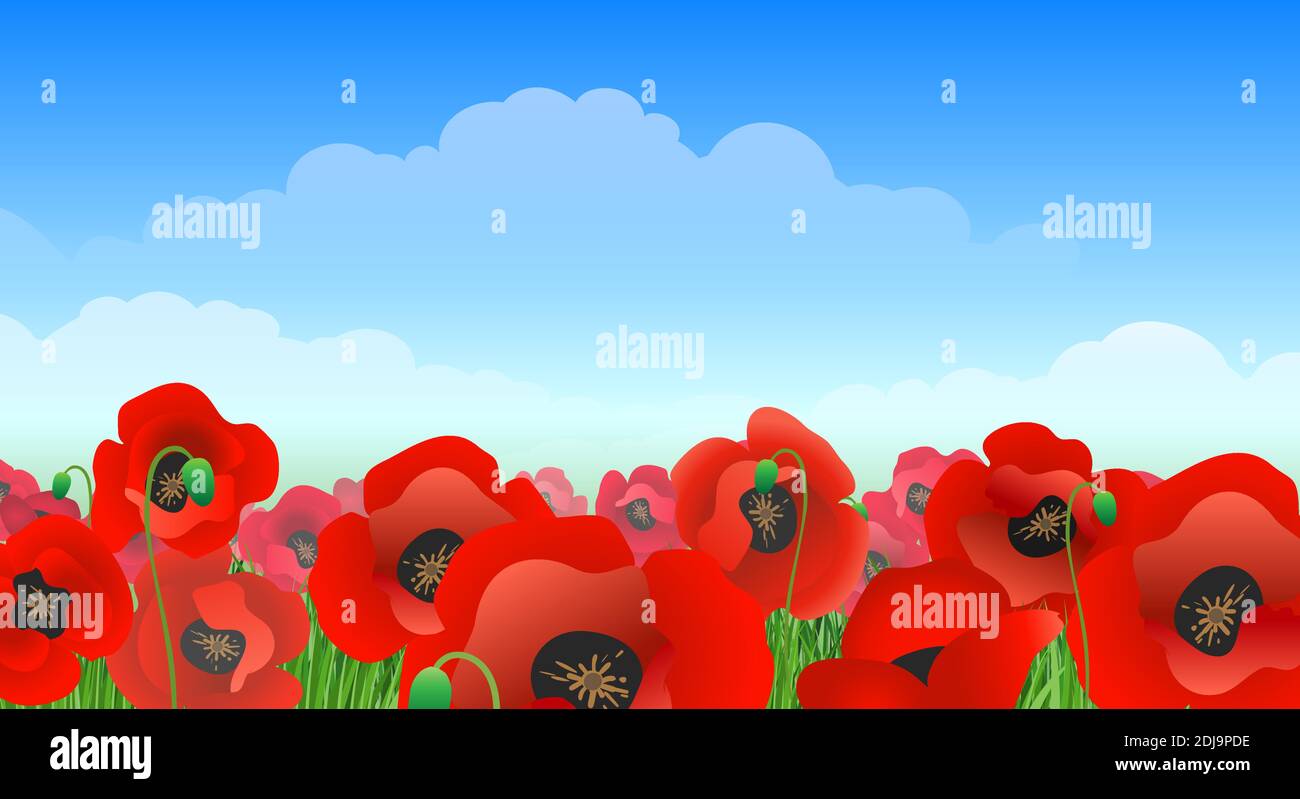 Summer poppy field on Stock Vector Images - Alamy