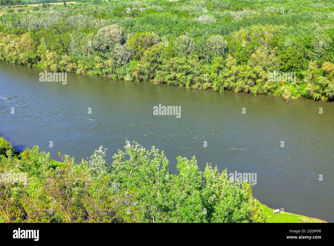 Tropical forest and river . Aerial view of rainforest at riverside ...
