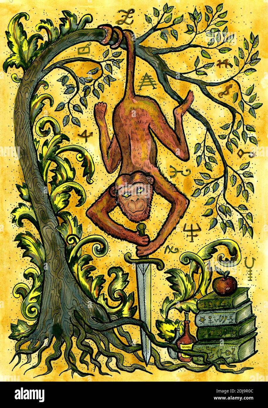 Monkey. Hand drawn fantasy graphic illustration. Occult mystic drawing ...