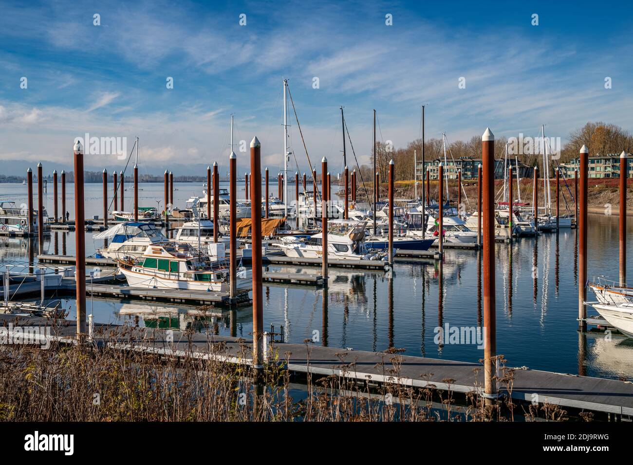 Tidewater Cove marina in Vancouver Washington state Stock Photo - Alamy