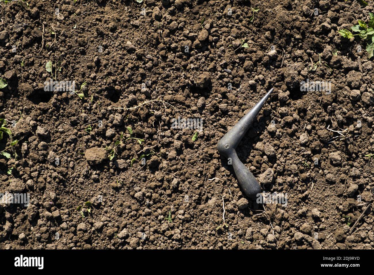 A top view of a metal gardening tool on the soil Stock Photo - Alamy