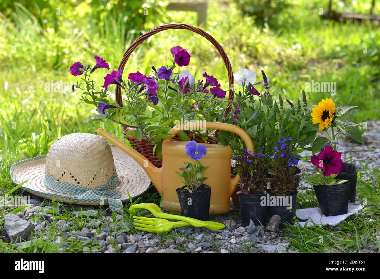 Vintage gardening concept, home hobby still life with green sprouts and ...