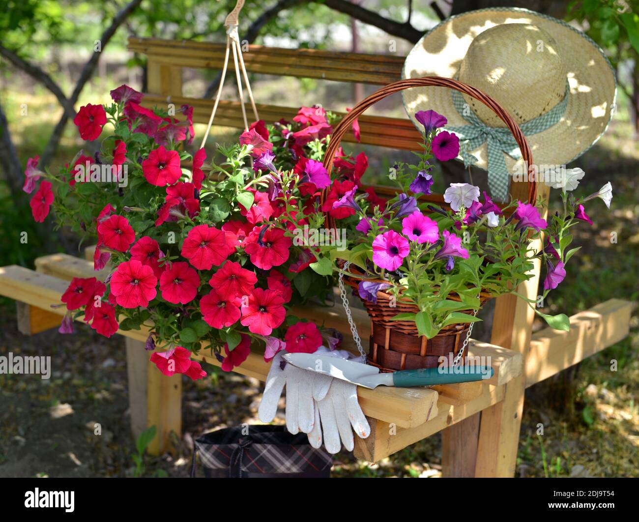 Vintage gardening concept, home hobby still life with green sprouts and ...