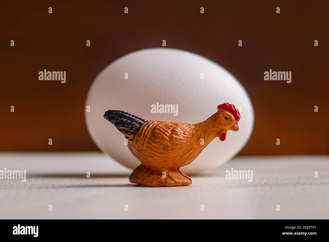Chicken laying eggs problem hi-res stock photography and images - Alamy