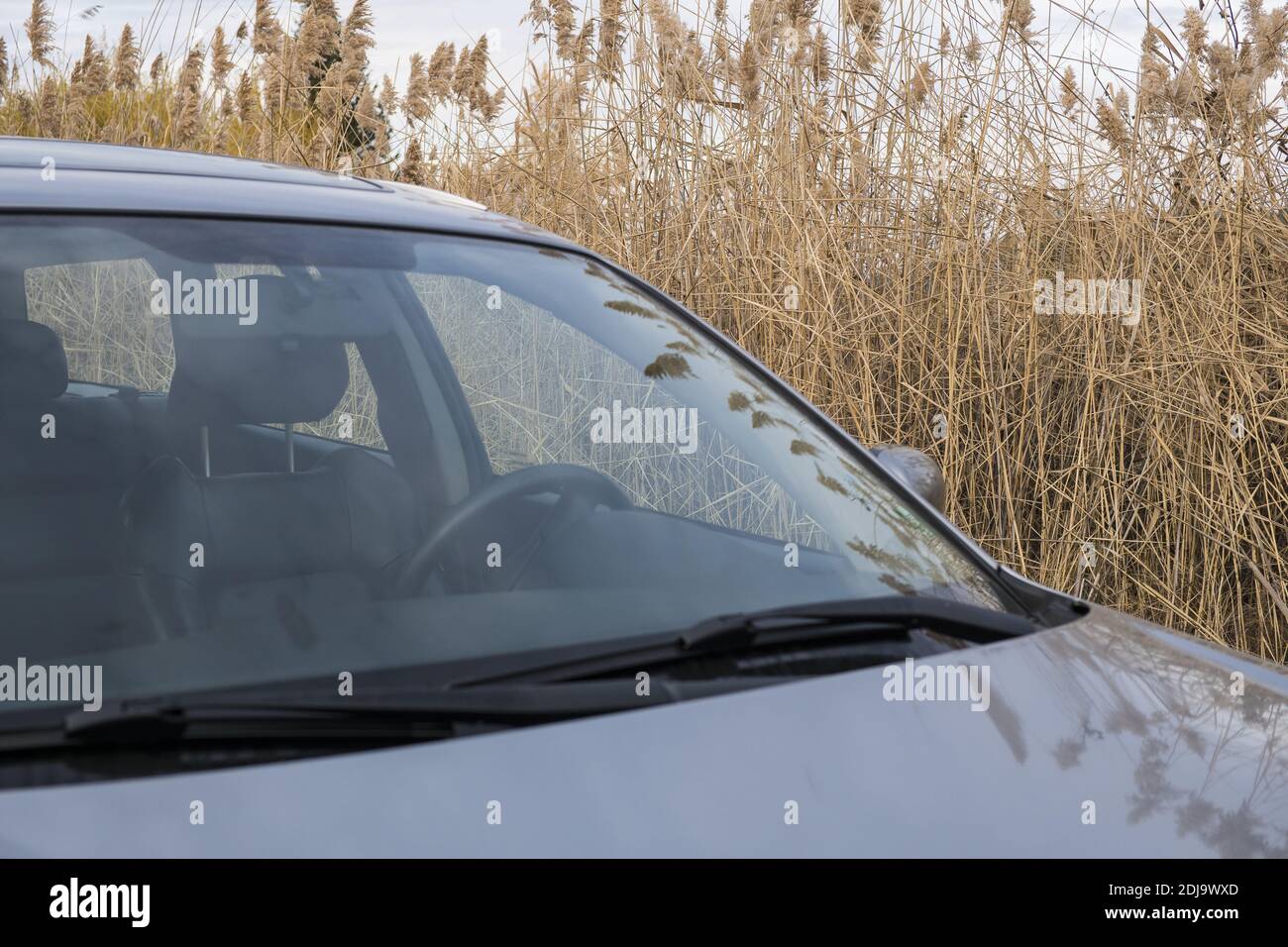 Car windscreen front hi-res stock photography and images - Alamy