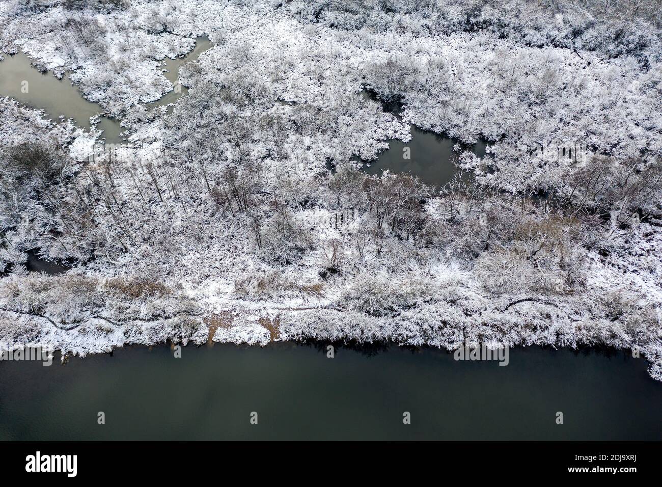 snow-covered lake shore at winter time. aerial top drone view from ...