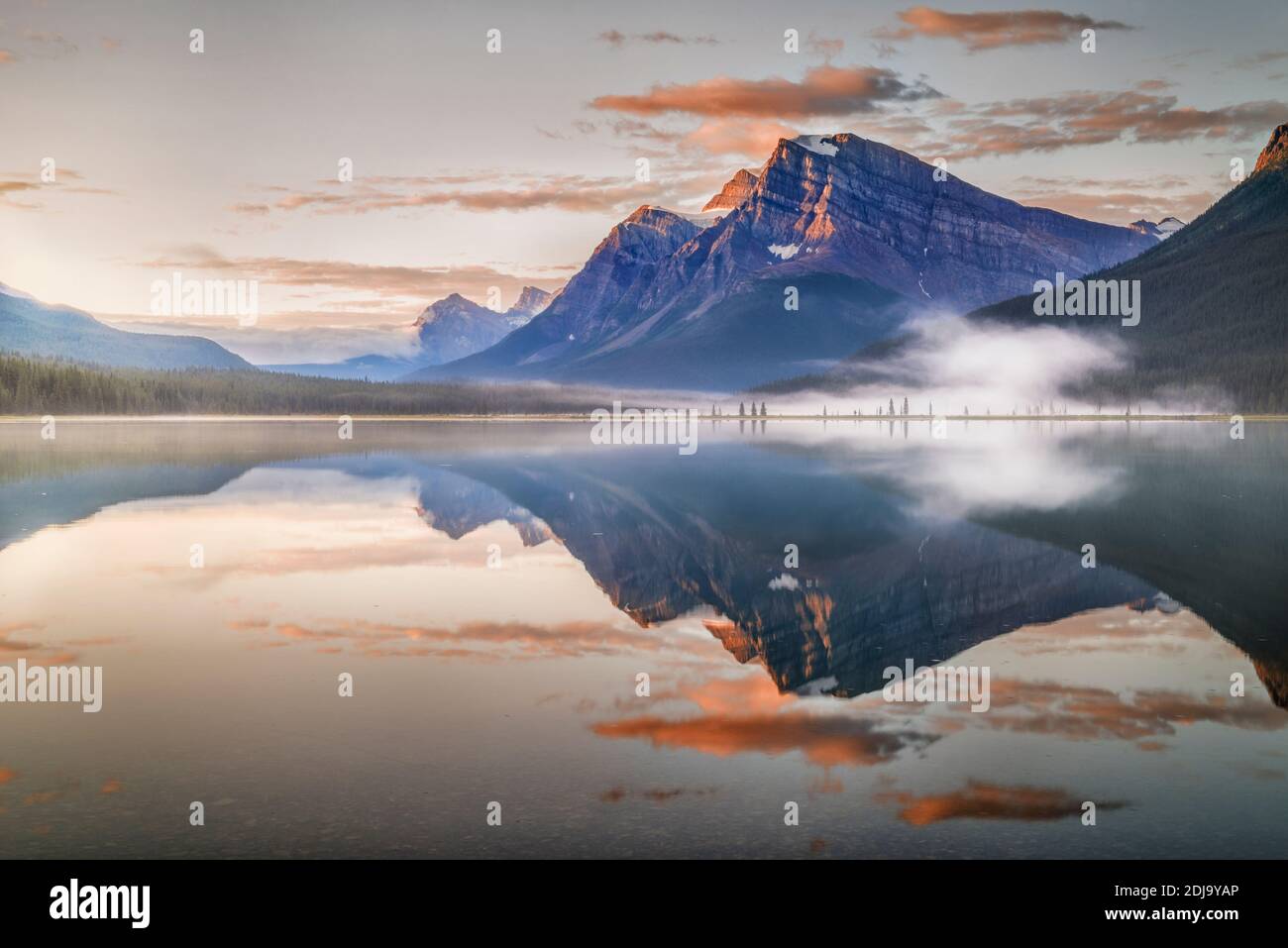 Upper waterfowl hi-res stock photography and images - Alamy