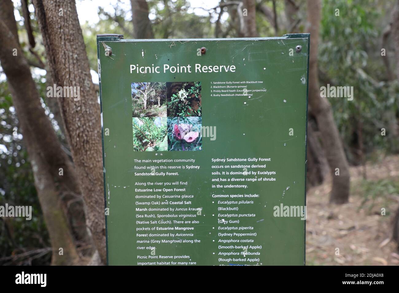 Picnic point reserve hi-res stock photography and images - Alamy