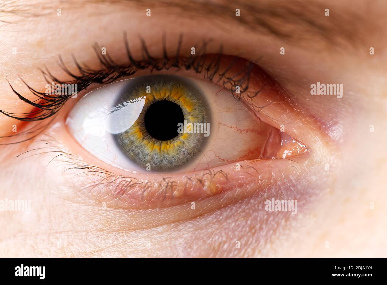 woman macro eye. macro photography of human eye Stock Photo - Alamy