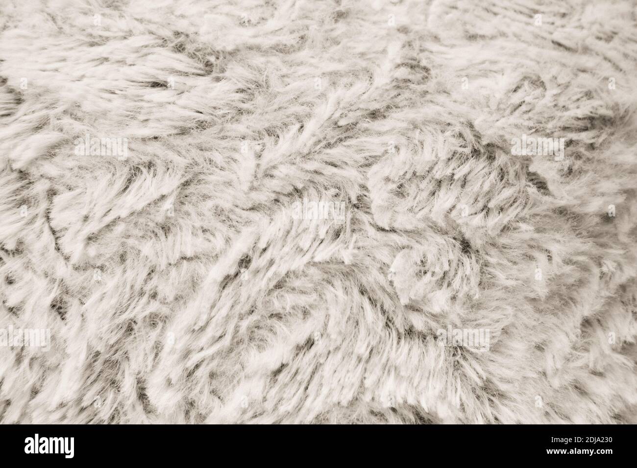 White fur background texture. Close up view Stock Photo - Alamy