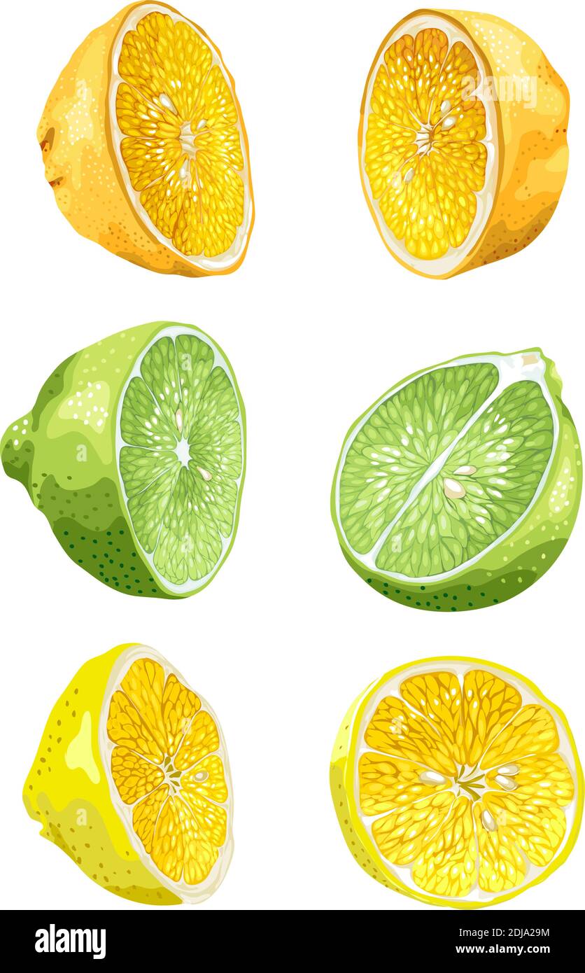 Fruit set with lime, orange and lemon in halves in 2 variants in ...