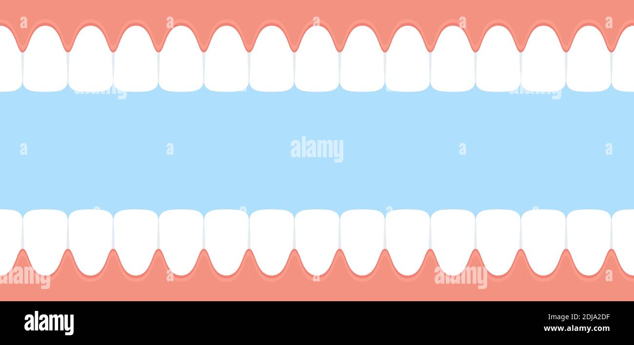Teeth and gum. Open mouth inside view. Dental banner. Vector ...