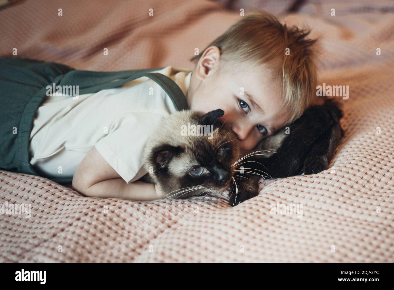 Little boy relaxing on the bed with cat. Child is hugging a cat Stock ...