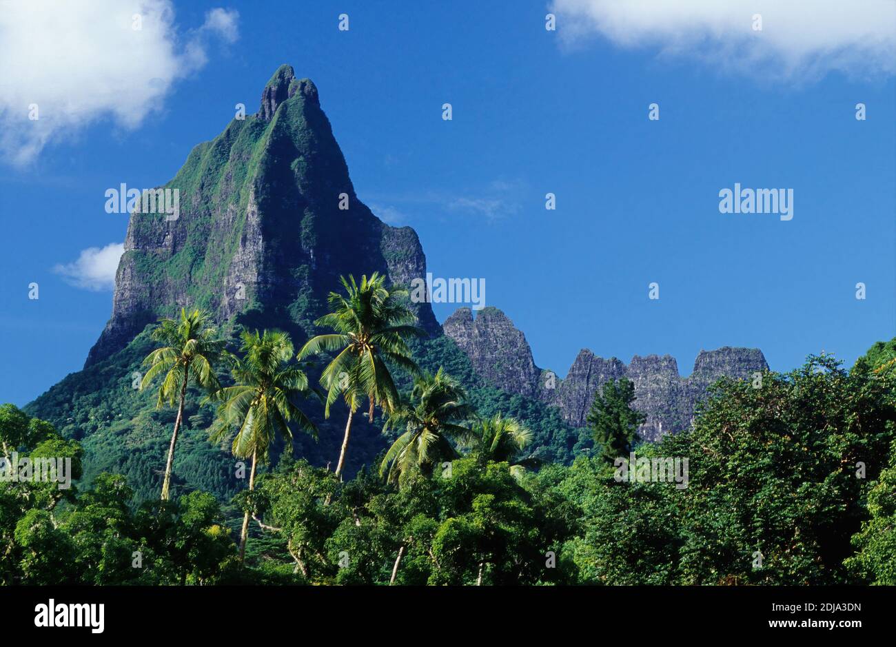 Moua hi-res stock photography and images - Alamy