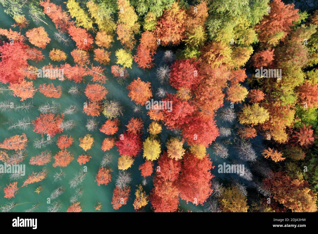 Jingmen hi-res stock photography and images - Alamy