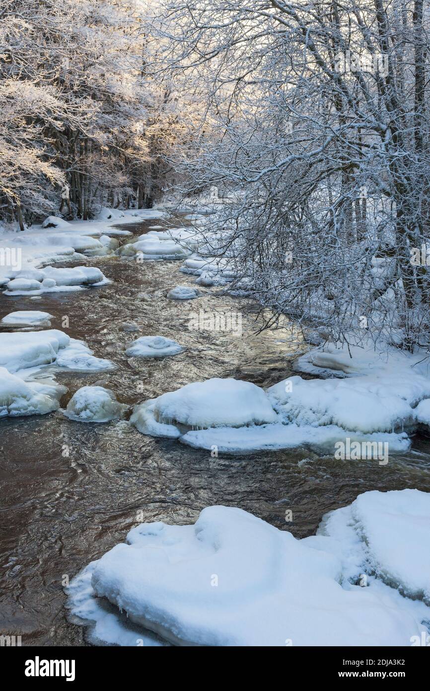River in wintry forest landscape Stock Photo - Alamy