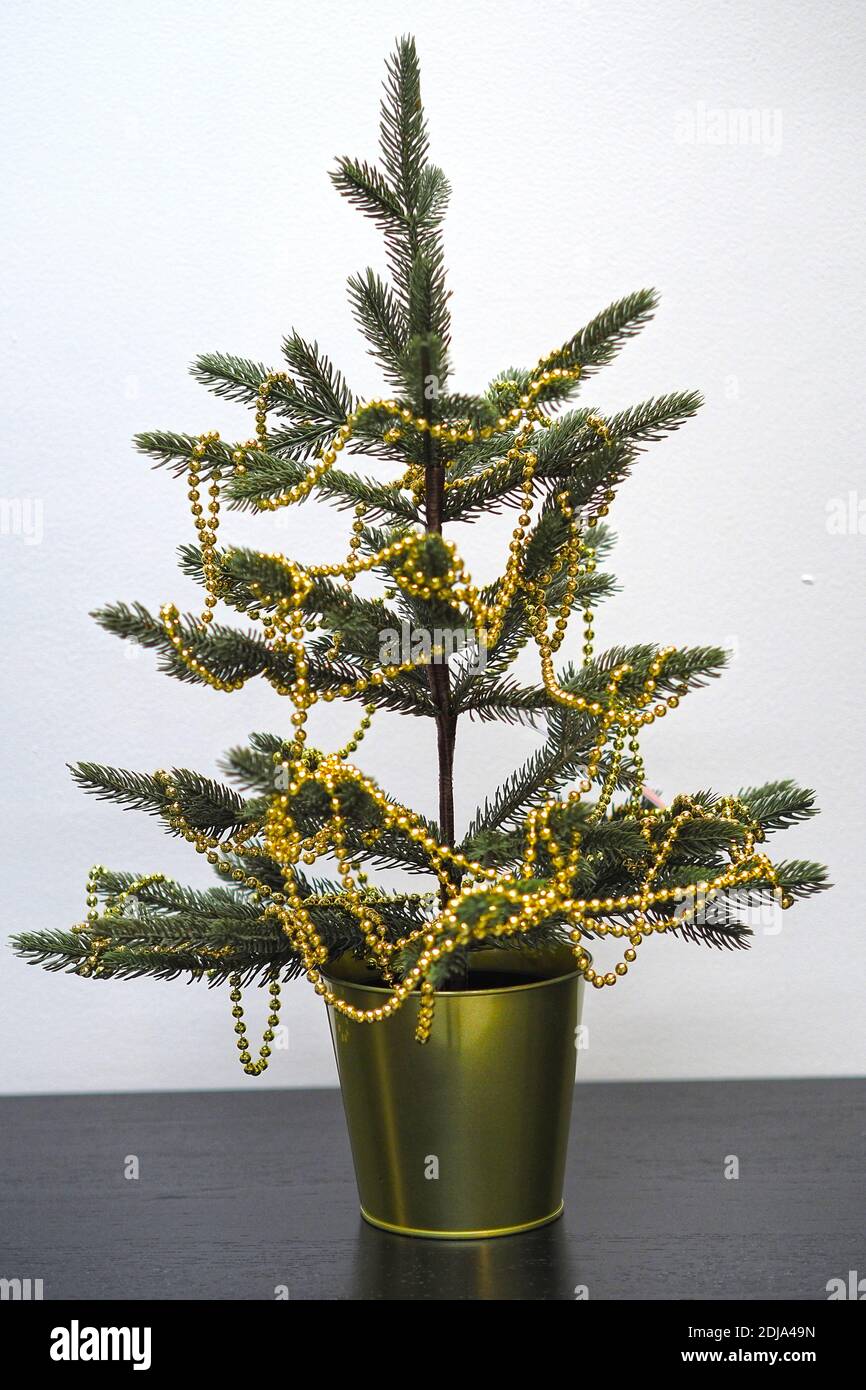 Decorative Christmas tree with golden decorations in the stand Stock ...