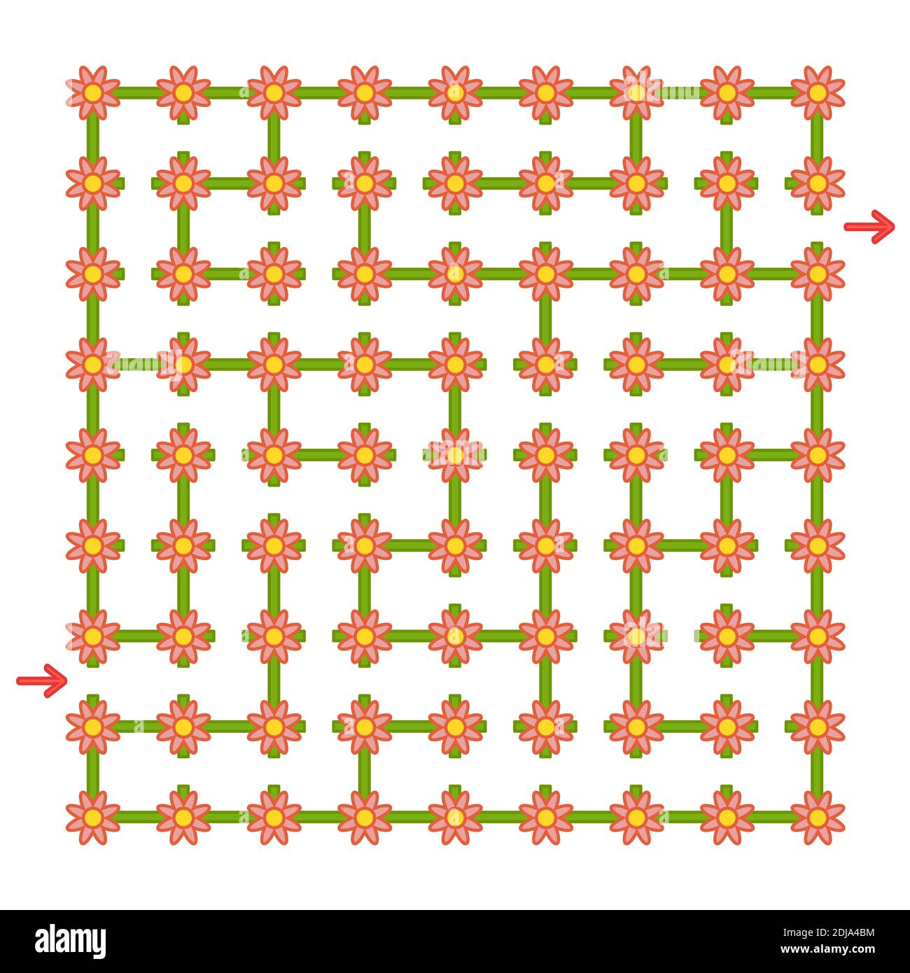 Colorful square labyrinth with flowers. Developmental game for children ...