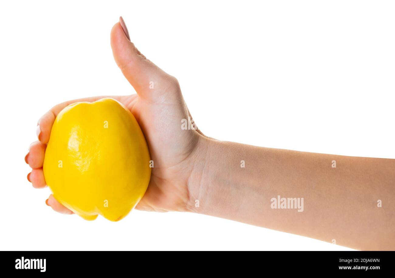 quince fruit in hand on white isolated background Stock Photo - Alamy