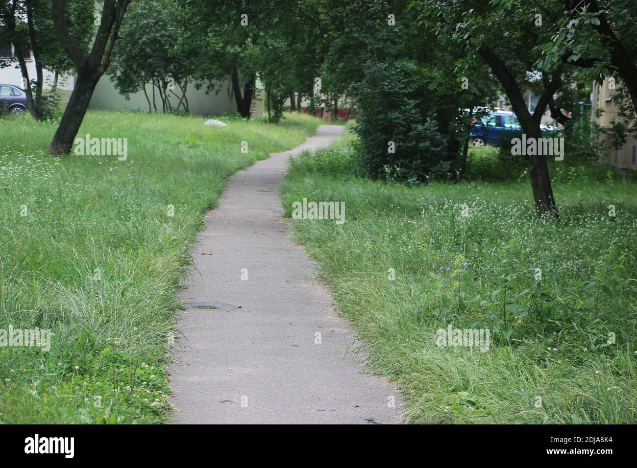 Winding Path in a green garden. Summer landscape Stock Photo - Alamy