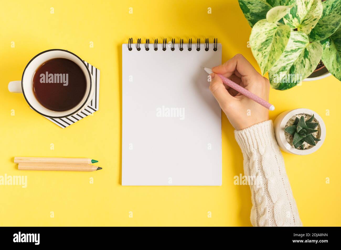 Woman writing on blank hi-res stock photography and images - Alamy