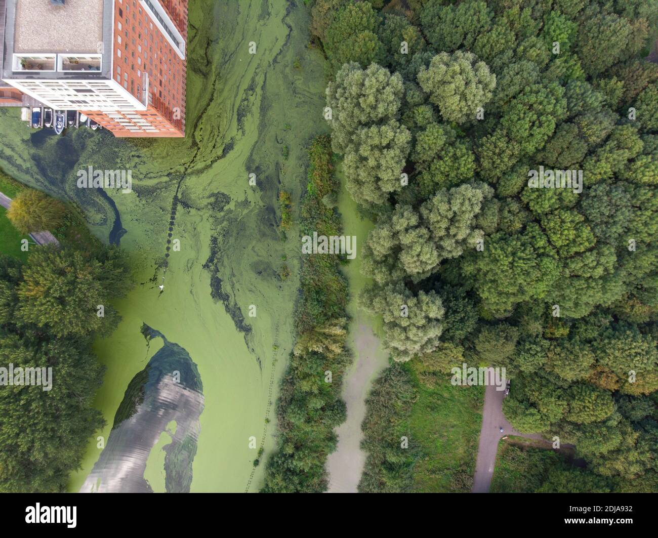 Osdorp hi-res stock photography and images - Alamy