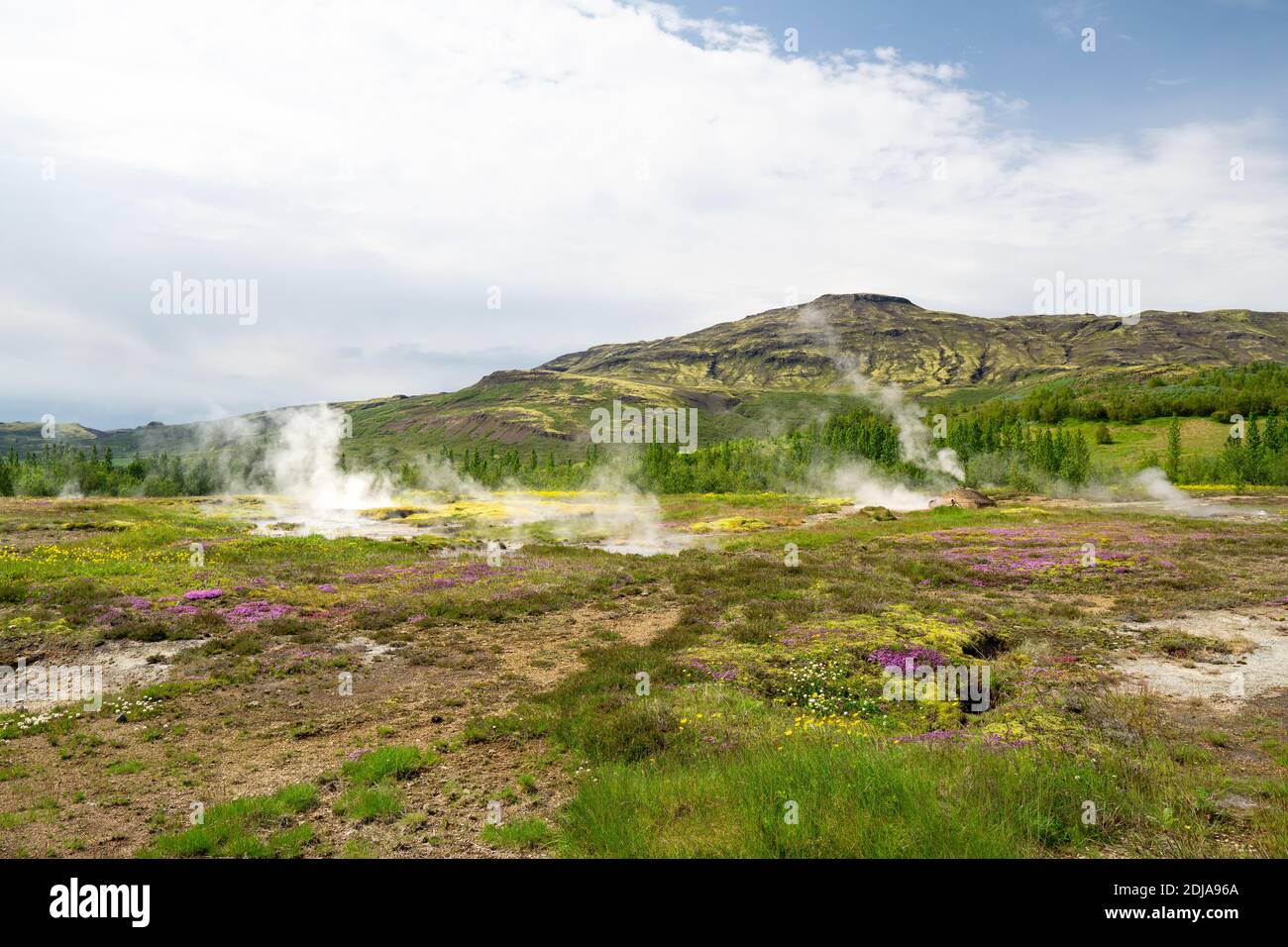 Steaming ground geothermal hi-res stock photography and images - Alamy