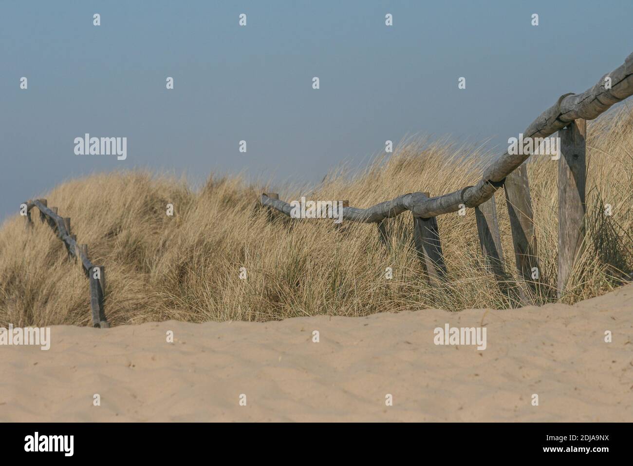 A dry pathway surrounded by bushes with a broken wooden fence Stock ...