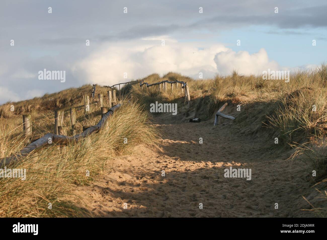 A dry pathway surrounded by bushes with a broken wooden fence Stock ...