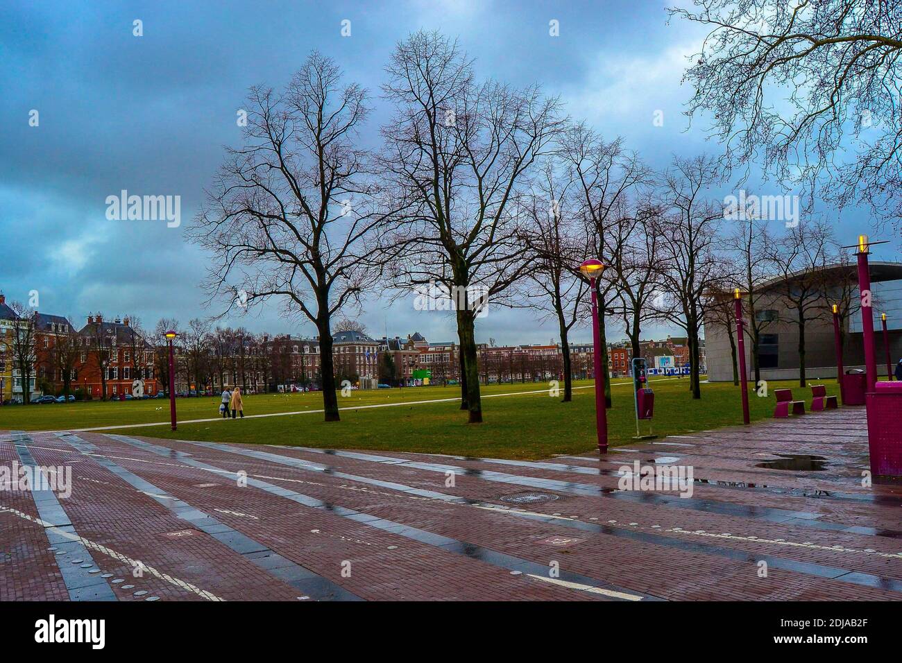 Netherland. City of Amsterdam during rainy day. Dried trees and walking ...