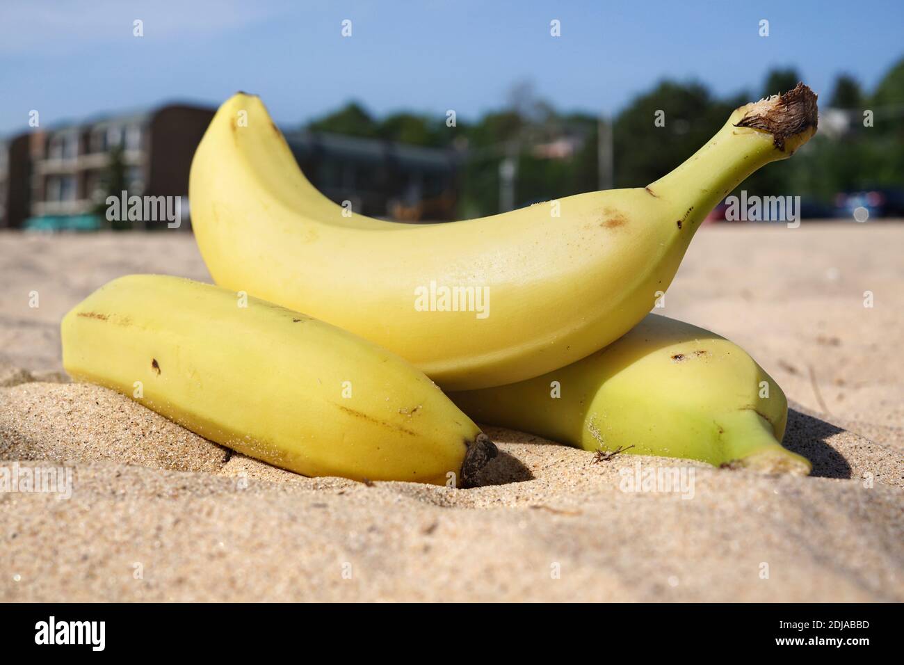 A bunch of bananas on the sand. In the background a recreation area, a ...
