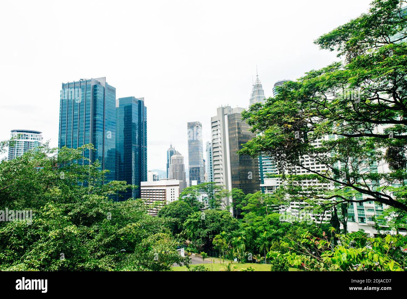 Kuala Lumpur city view from Bukit Nanas Forest Reserve and now called ...