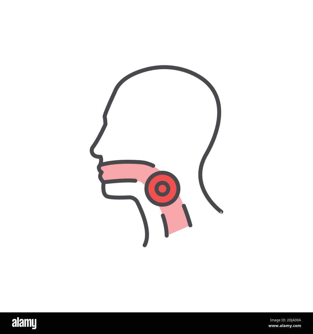 Tonsil drawing hi-res stock photography and images - Alamy