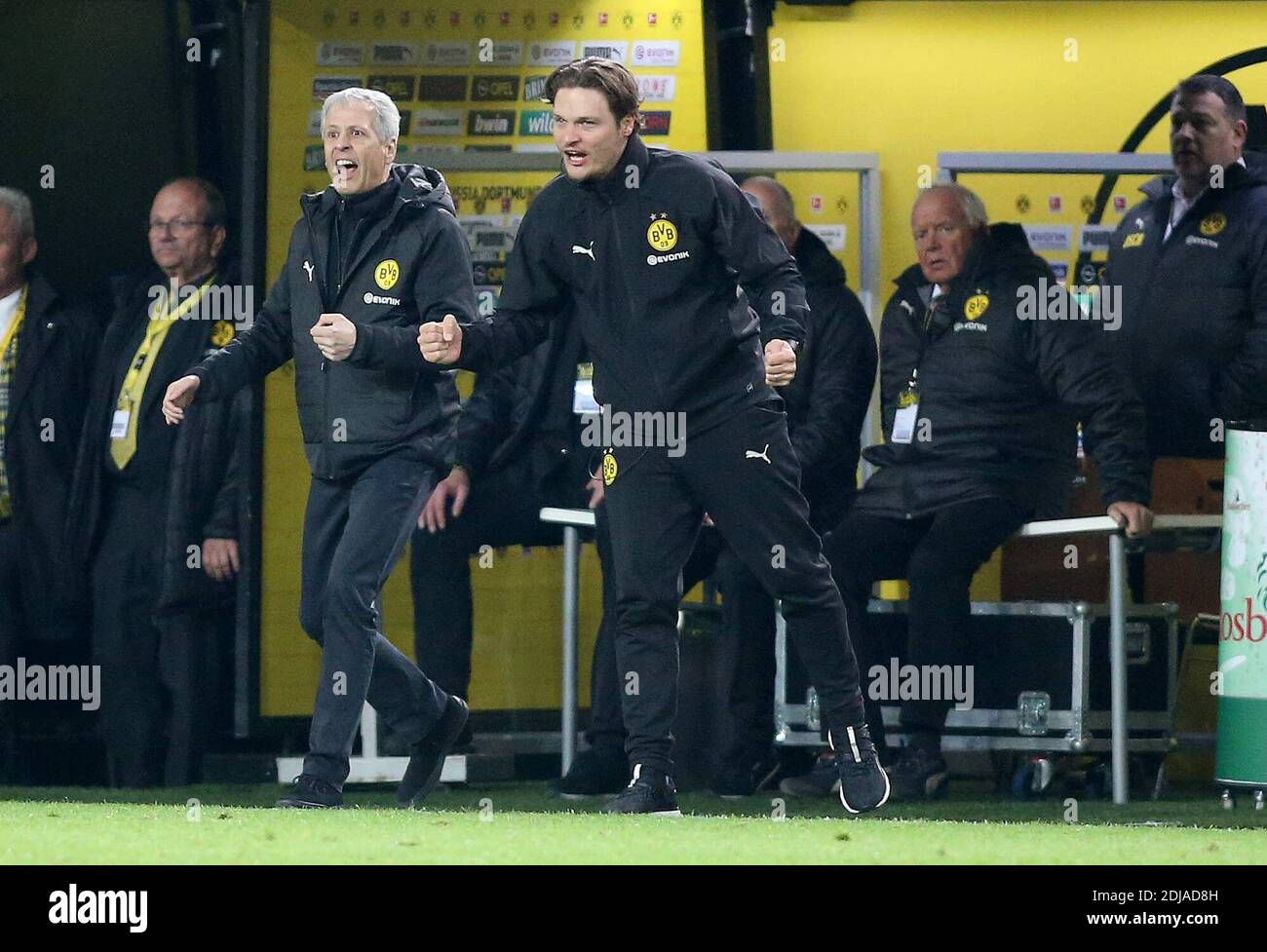 Dortmund, Deutschland. 24th Feb, 2019. firo: 24.02.2019, football, 1. Bundesliga, season 2018/ ...