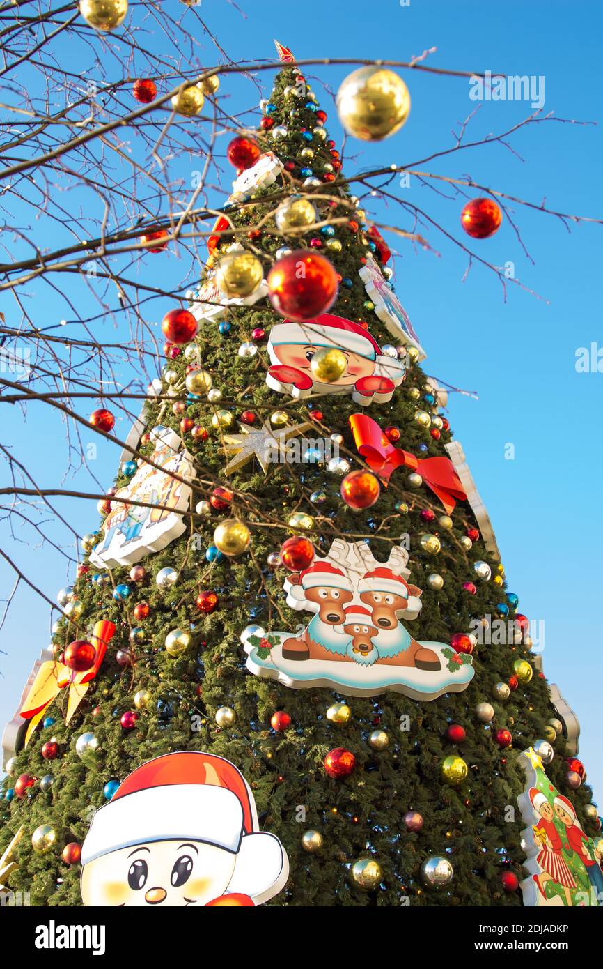 Elegant Christmas tree in daylight. Preparing for the holiday Stock ...