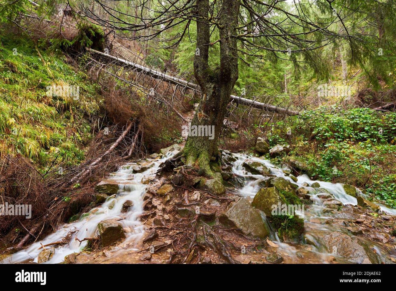 Flowing slowly hi-res stock photography and images - Alamy